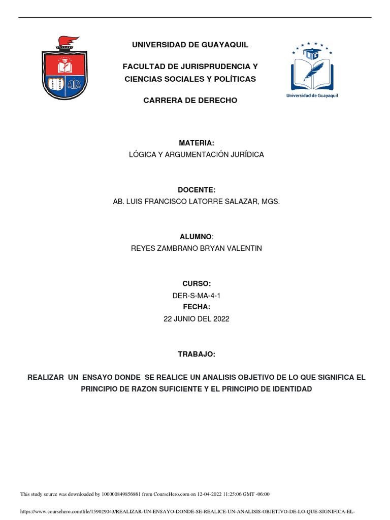 Realizar Un Ensayo Donde Se Realice Un Analisis Objetivo de Lo Que ...
