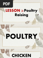 Tle Go Grow Glow | PDF | Foods | Cuisine