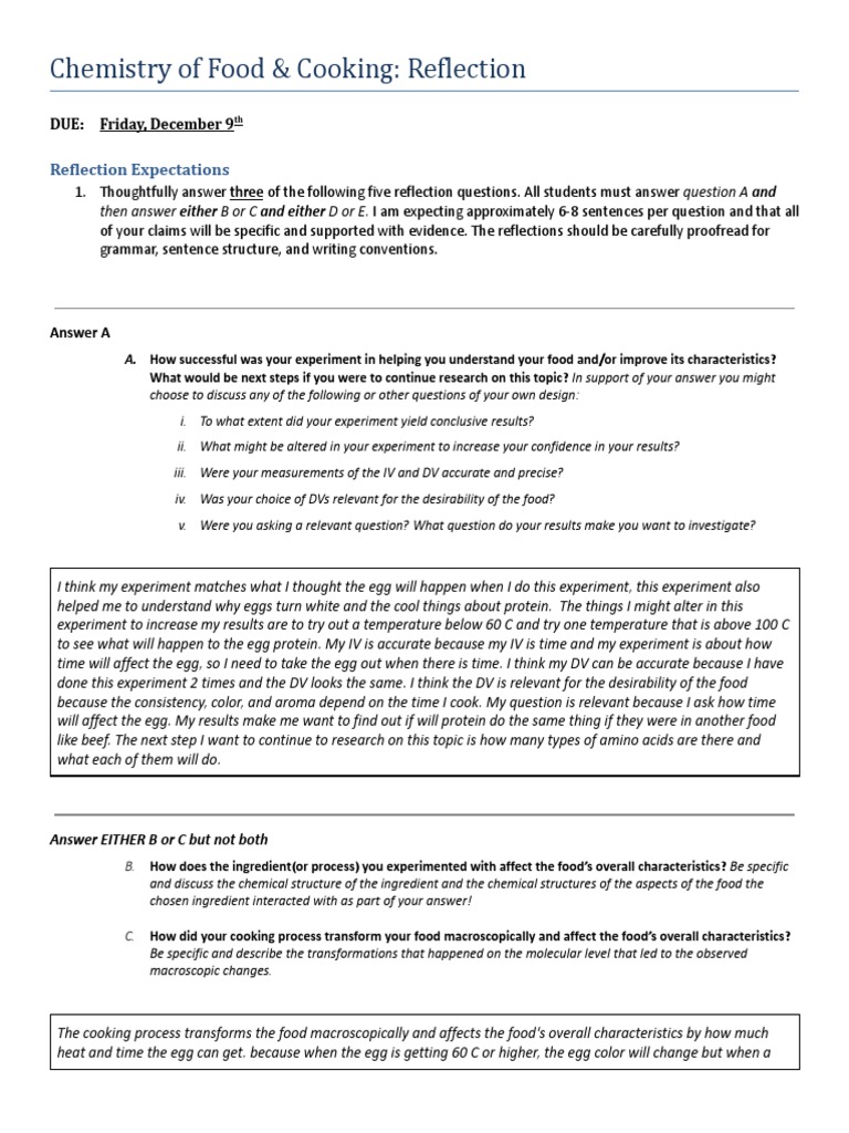 Food Project Reflection | PDF | Foods | Cooking