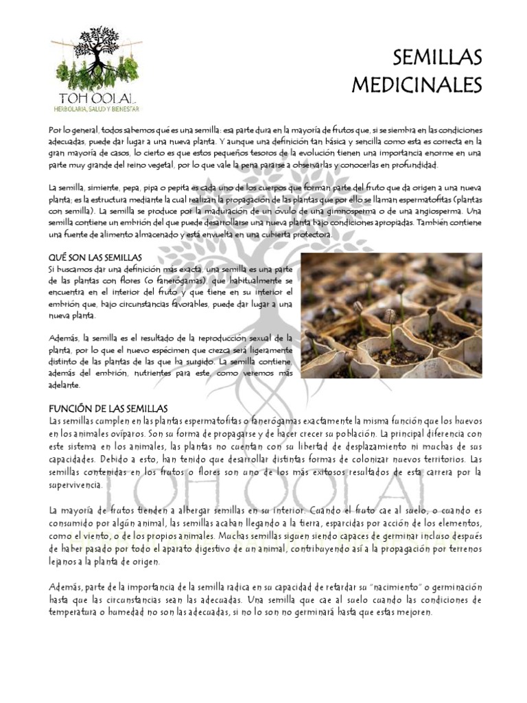 Semillas Medicinales y Propiedades | PDF | Semilla | Plantas