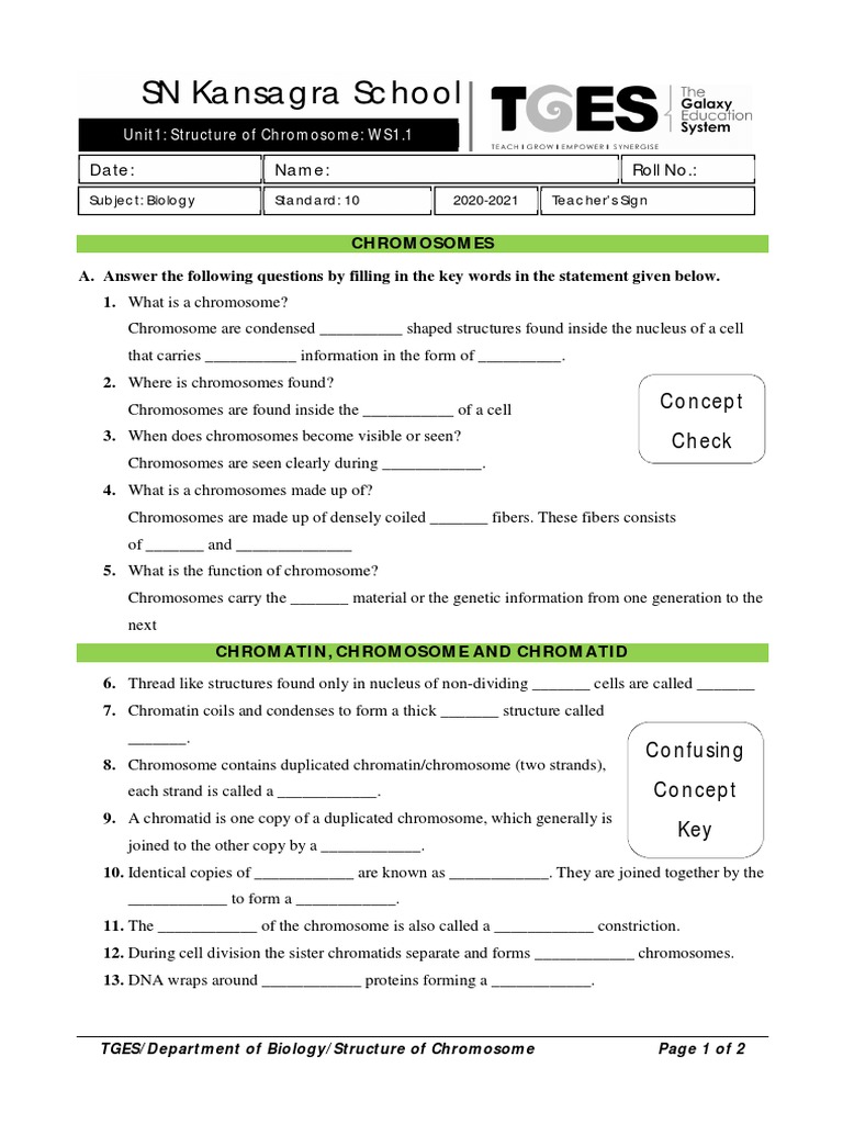 1 WS1 Structure of Chromosome | PDF | Chromosome | Macromolecules