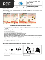 SNC2D Biology Exam Review Guide | PDF | Cell (Biology) | Cancer