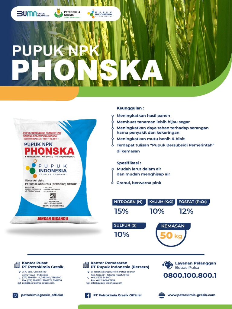 PG Phonska 2022 | PDF