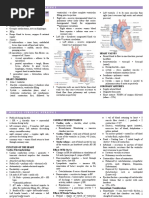 Anatomy and Physiology | PDF | Heart | Lung