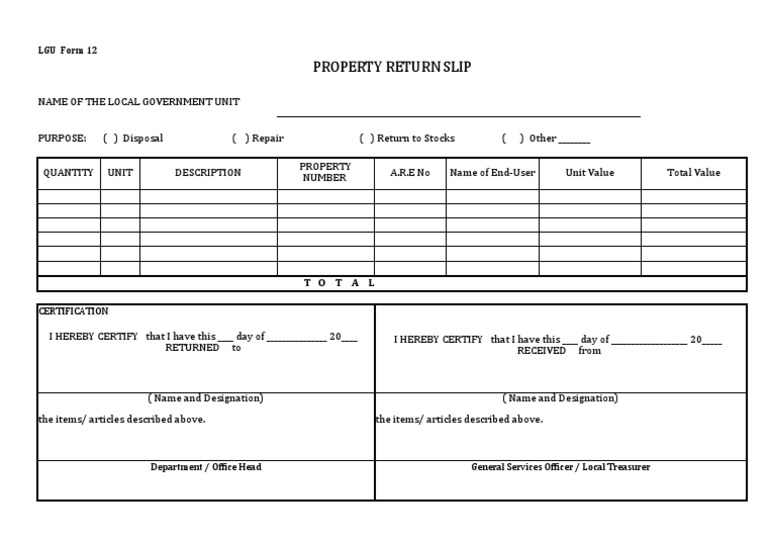 LGU Form | PDF