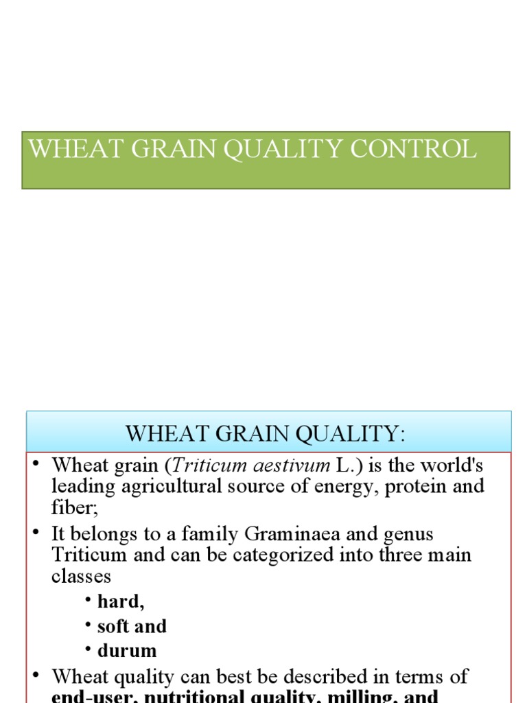 Wheat Grain Quality Control Overview | PDF | Food Ingredients | Staple ...