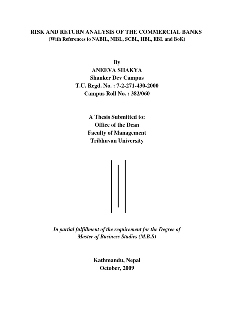 Thesis Final | PDF | Investing | Financial Risk