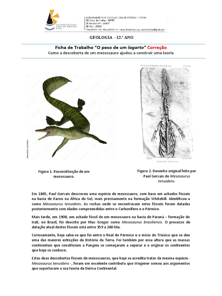 Mesossauro e Deriva Continental Correção | PDF | Natureza | Geociências