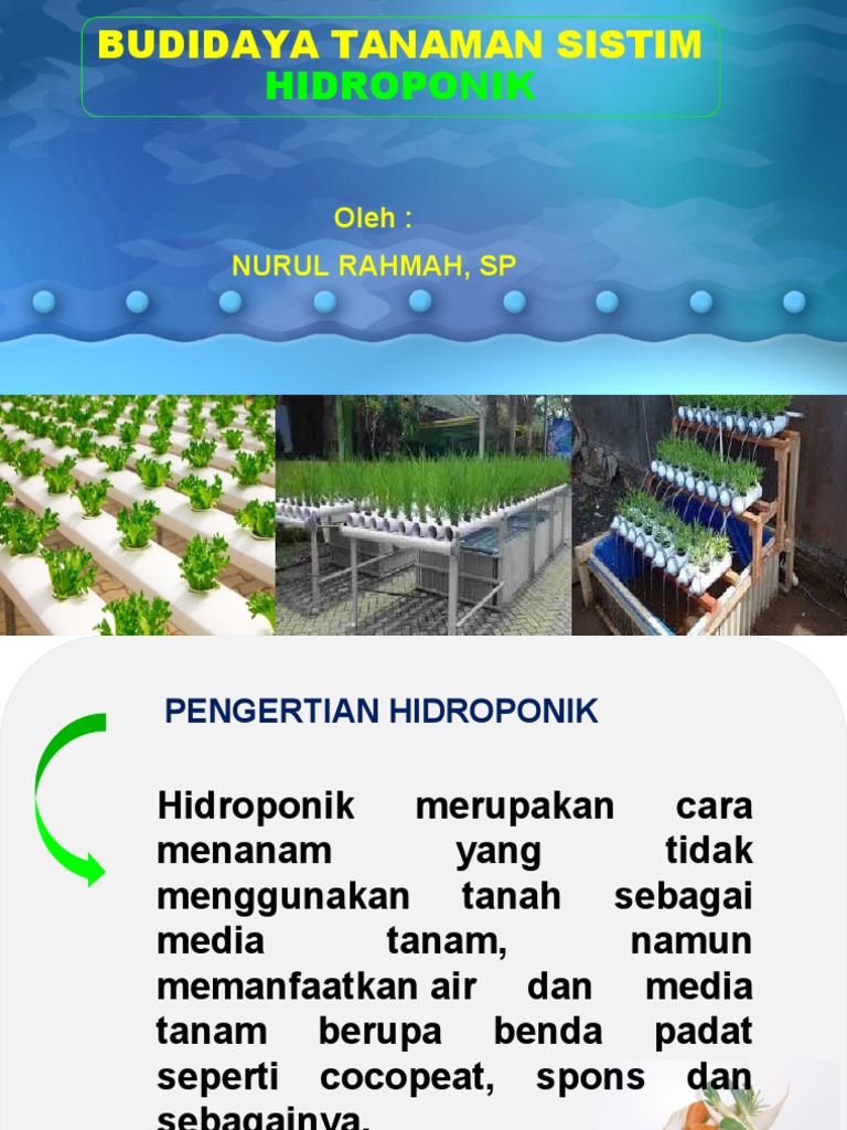 Presentasi Hidroponik | PDF | Griya & Taman | Sains & Matematika