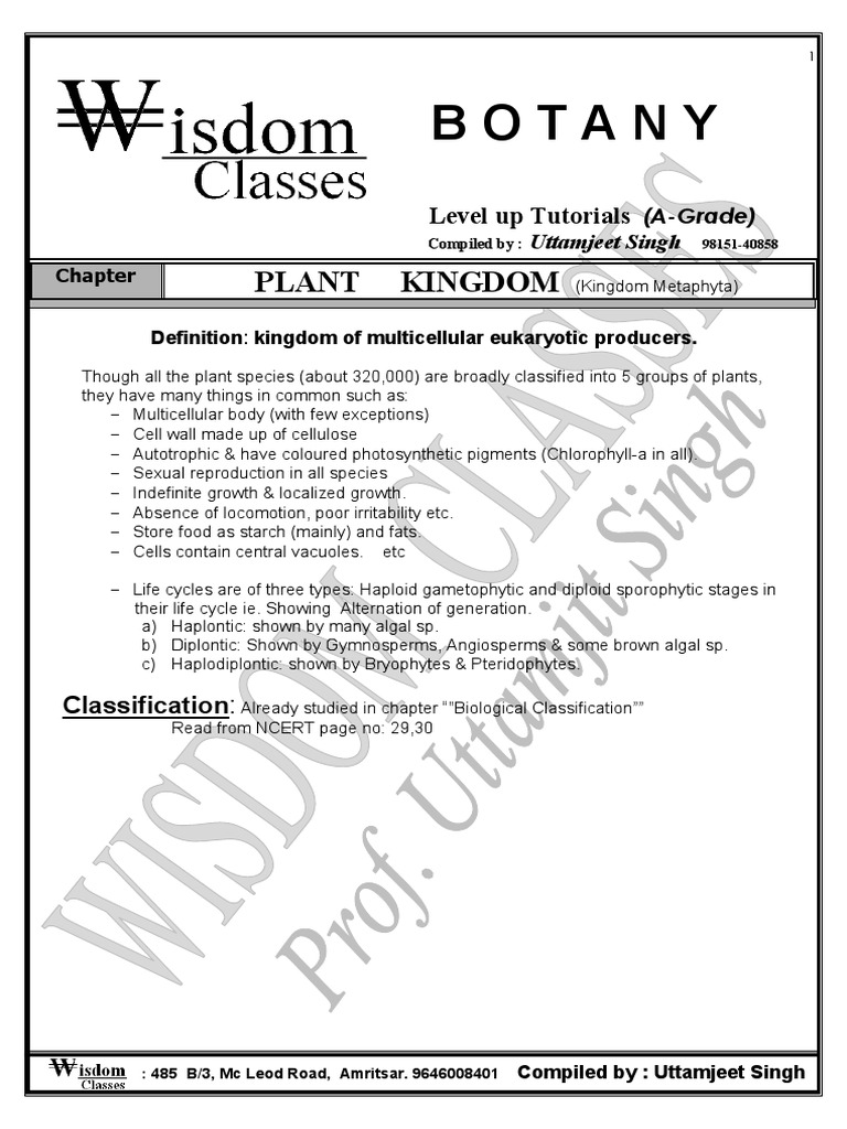 KINGDOM Plantae + Algae For Students | PDF | Algae | Plants