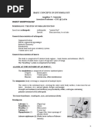 Tagmosis | PDF | Insects | Arthropodology