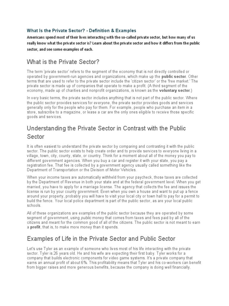 Understanding the Private Sector Explained | PDF | Taxes | Fee
