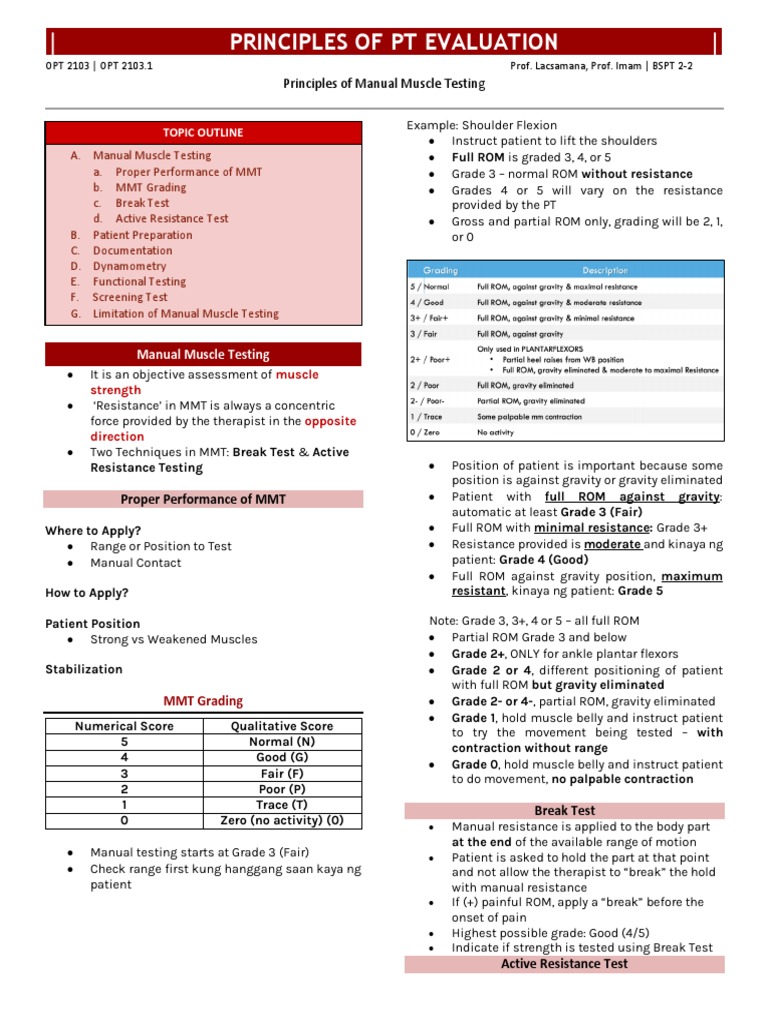 04 Principles of Manual Muscle Testing | PDF | Musculoskeletal System ...