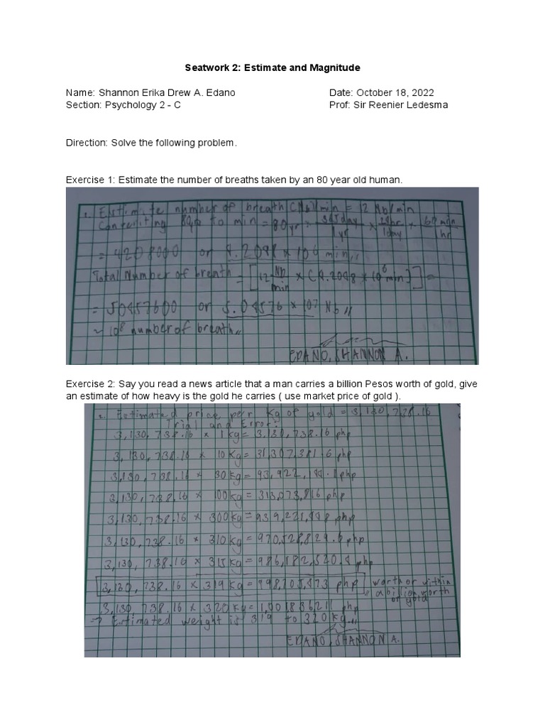 Seatwork 2 - Estimate and Magnitude | PDF