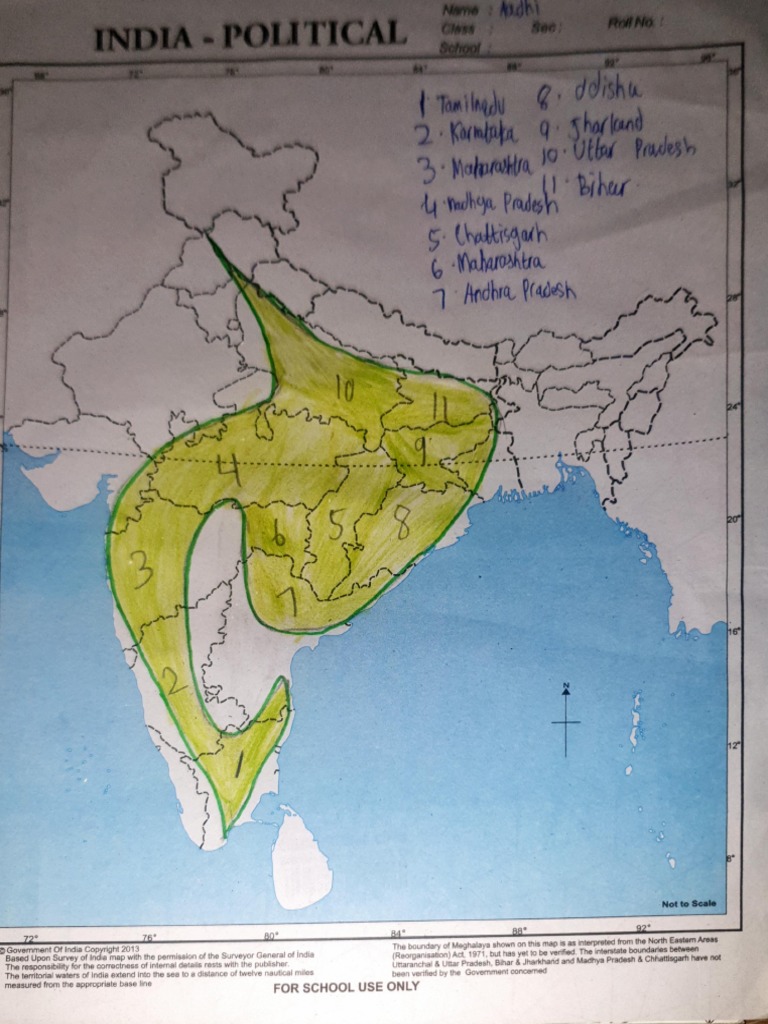 Deciduous and Evergreem Forest Map | PDF
