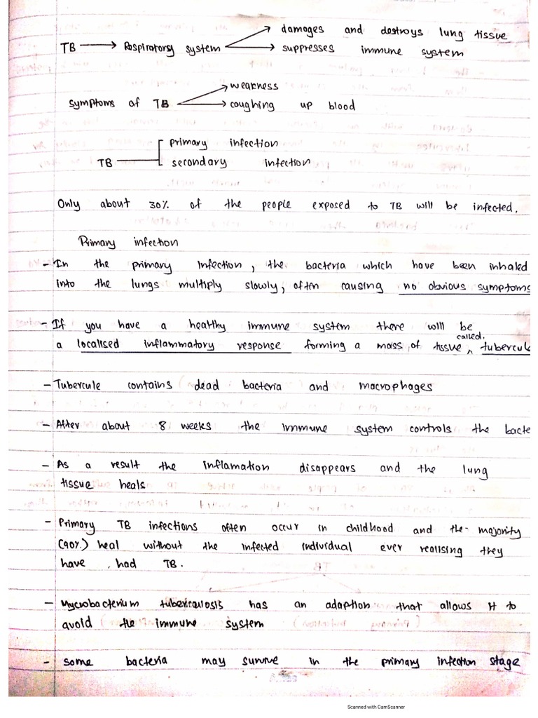 A2 Topic 6 Continuation | PDF