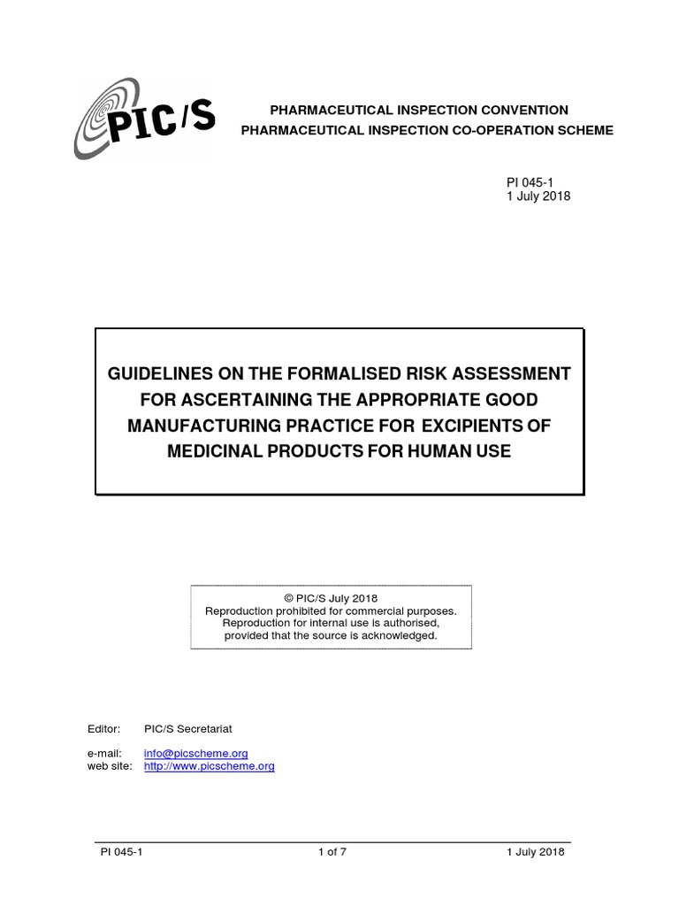 PI 045 1 PICS Guideline On Excipient GMP Risk Assessment | PDF | Risk ...