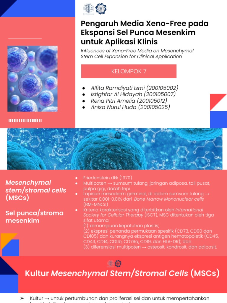7 - PPT Stem Cells | PDF | Pengembangan Diri