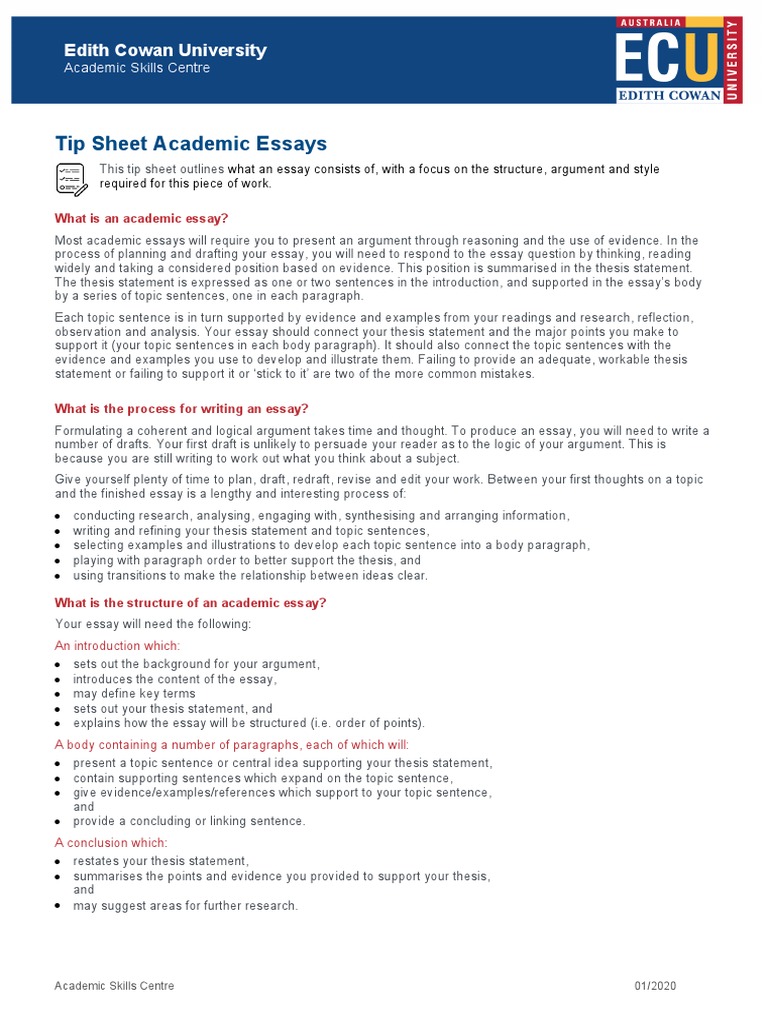 Essay Writing Tip Sheet | PDF | Essays | Thesis