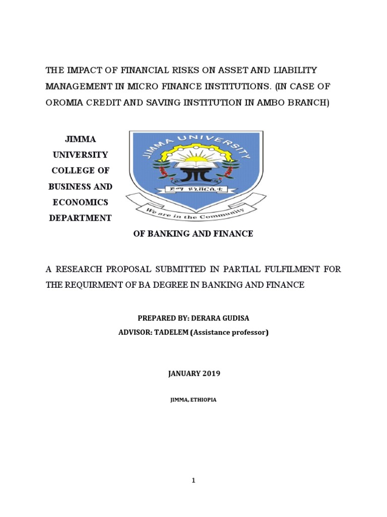 Dare GM Proposal-1 | PDF | Microfinance | Risk