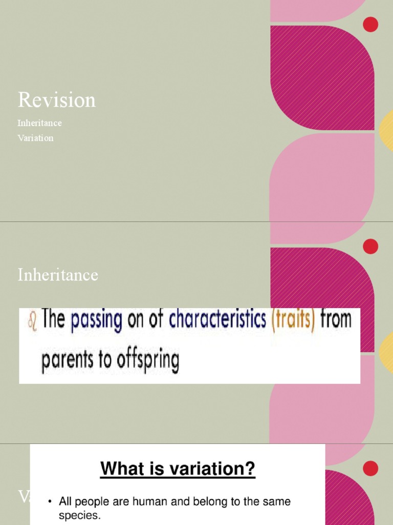 Revision Inheritance | PDF | Language Arts & Discipline
