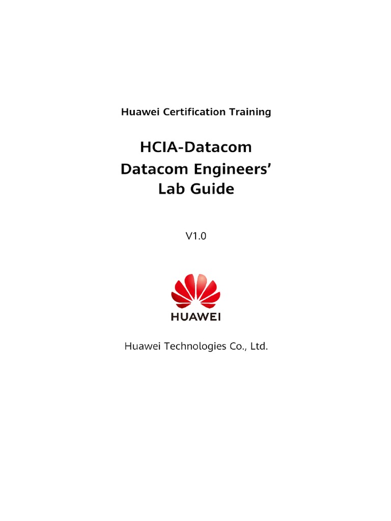 HCIA-Datacom V1.0 Lab Guide | PDF