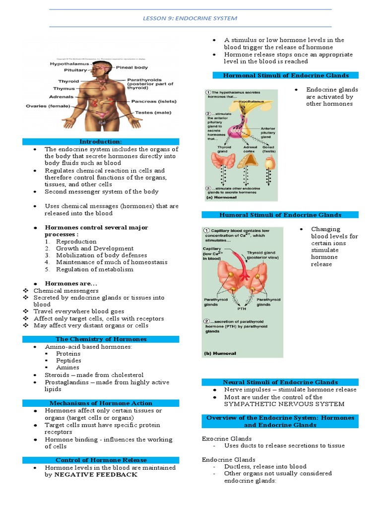 Endocrine Reviewer | PDF | Endocrine System | Hormone