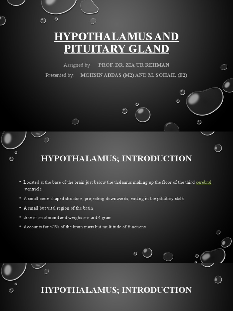 Hypothalamus and Pituitary Gland | PDF | Luteinizing Hormone | Hypothalamus