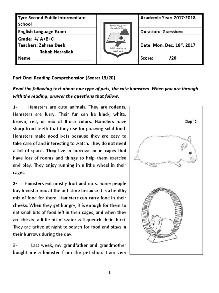 hamsters 2 grade 4 | PDF | Pet | Rodent