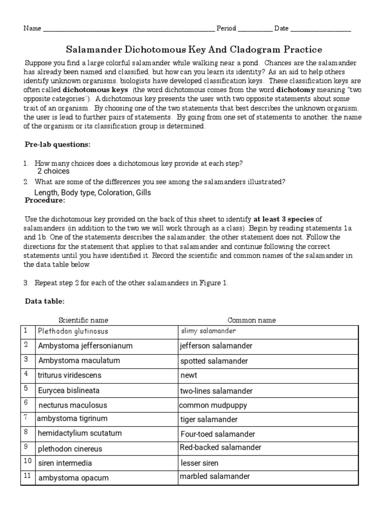 Kami Export - Szelyn Colon - Dichotomous Key (Salamanders) and ...