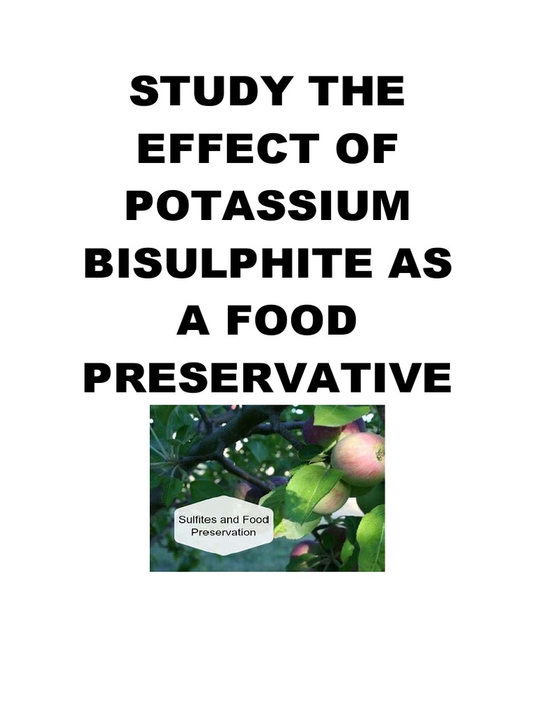 Chemistry Project File | PDF | Food Preservation | Fruit Preserves