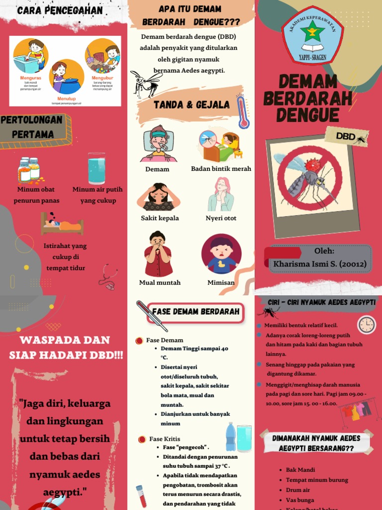 Leaflet Promkes DBD (KHARISMA) | PDF