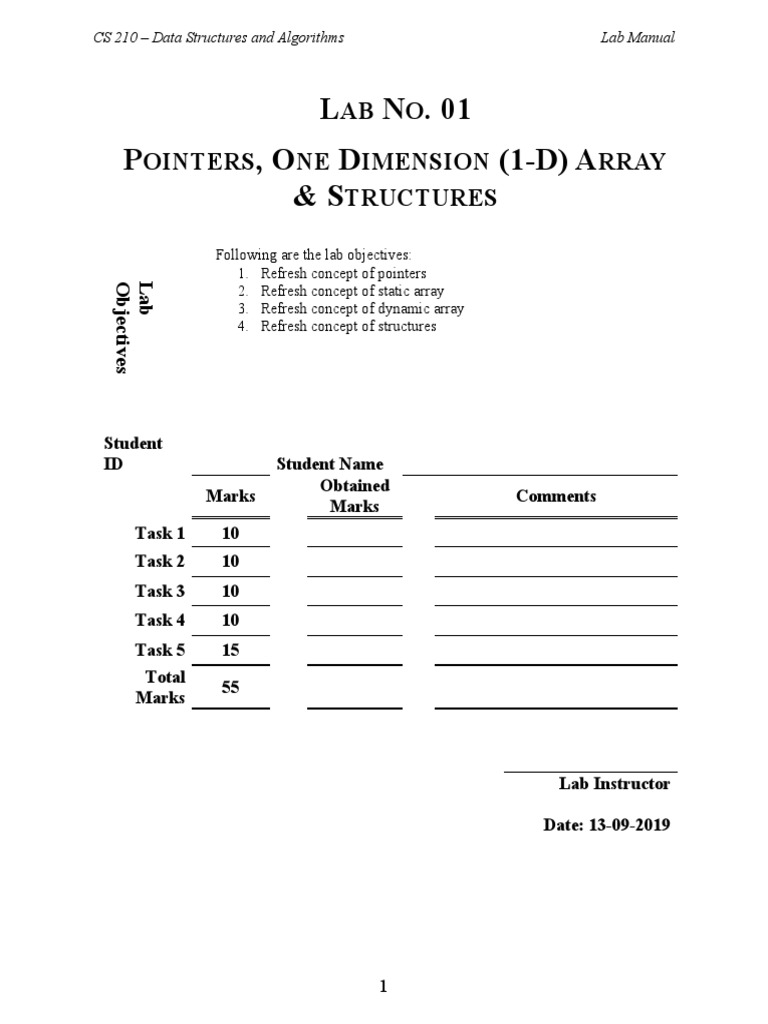 Cs210 Dsa Lab 01 000 Pdf Pointer Computer Programming Computer Program 4694