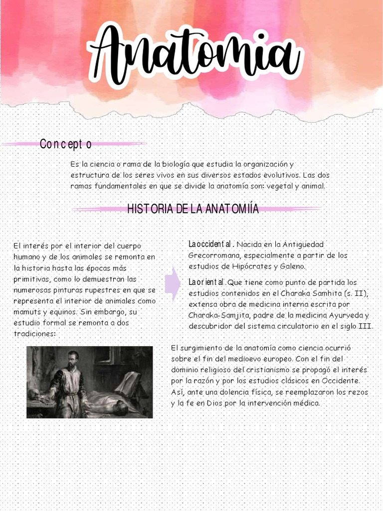 Anatomia-Genesis Rivera-5as | PDF