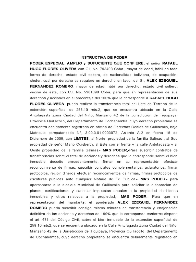 Instructiva de Poder | PDF | Propiedad | Justicia