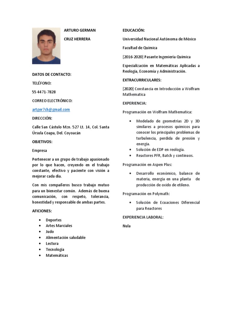 CV Arturo Germán Cruz Herrera | PDF