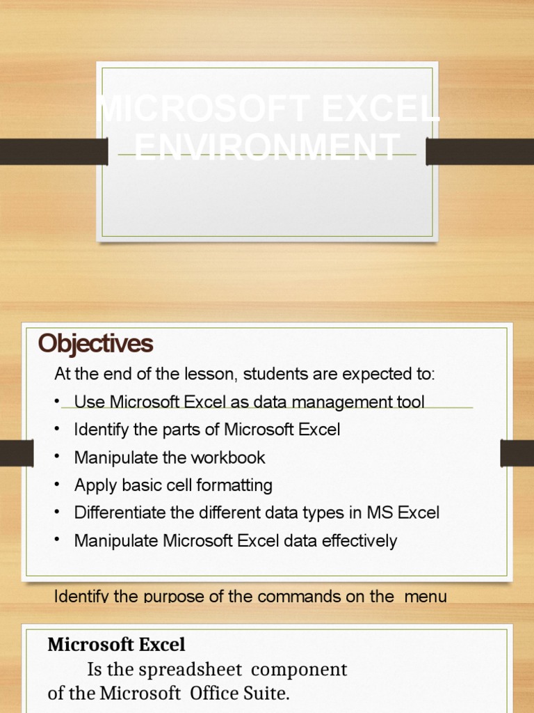 FG Microsoft Excel Environment | PDF | Microsoft Excel | Spreadsheet