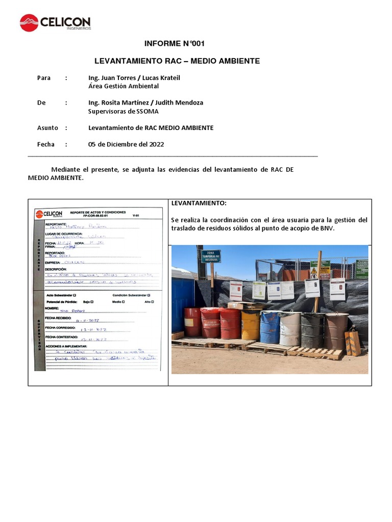 Rac - Medio Ambiente - Noviembre - Celicon | PDF