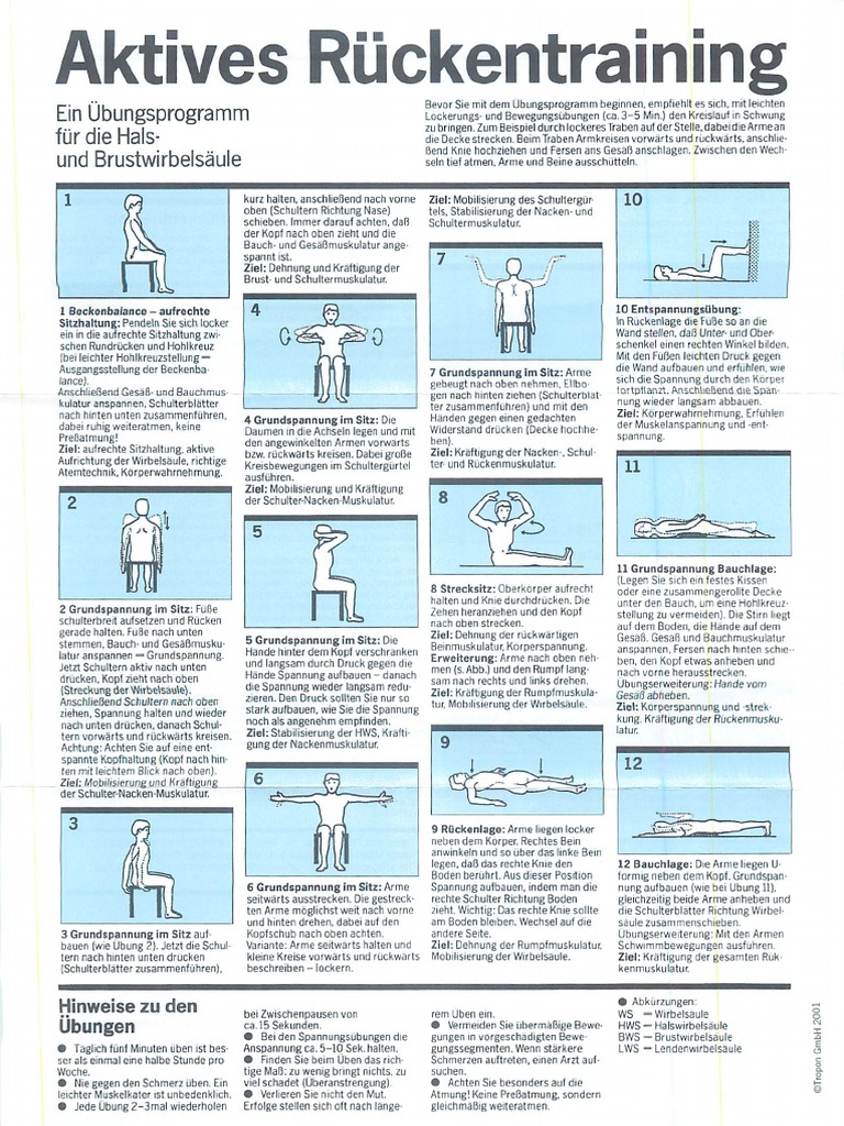 Aktives Rückentraining HWSBWS | PDF