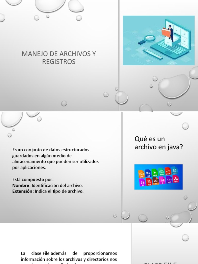 Manejo de Archivos y Registros | PDF | Archivo de computadora | Gestión de tecnología de la ...