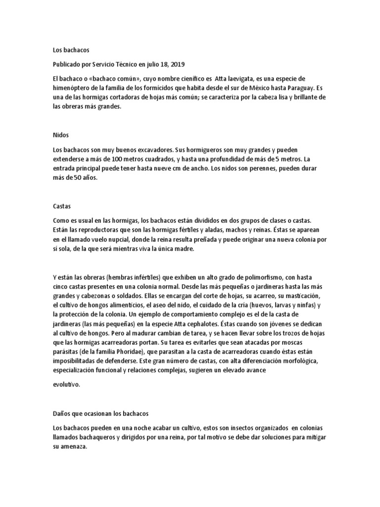 Características y daños del bachaco | PDF | Hormiga | Insectos