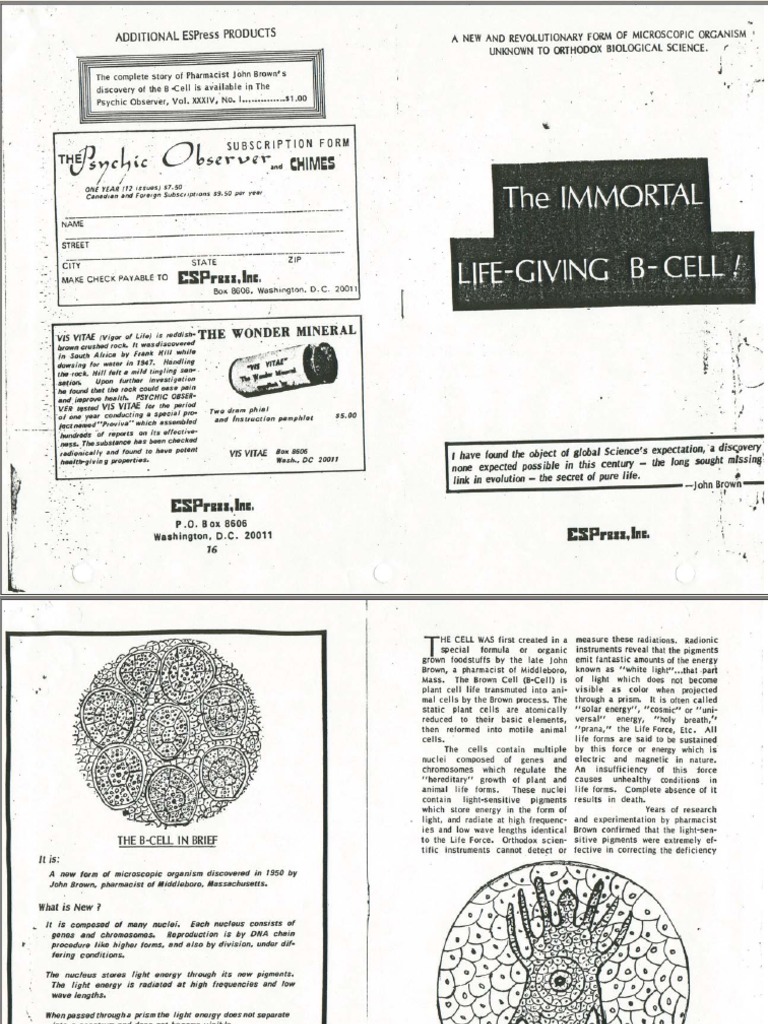 141 The Immortal Life-Giving B-Cell | PDF