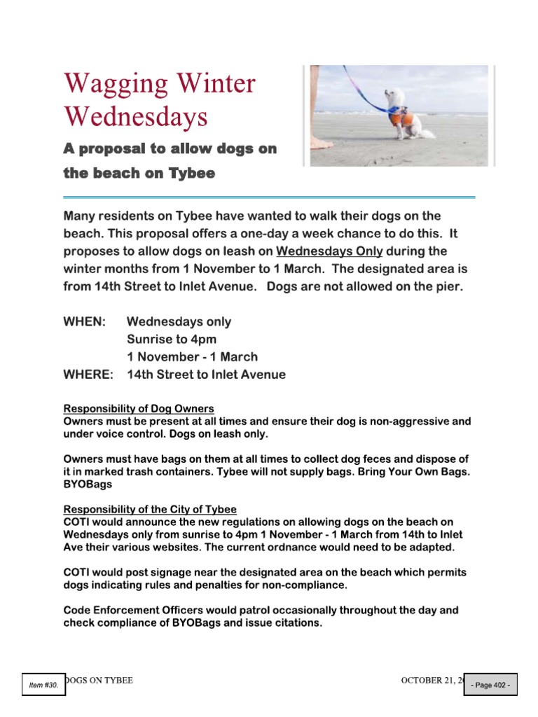 Wagging Winter Wednesday Flyer | PDF