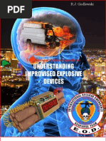 Sample of Debut Program Flow | PDF | Unrest