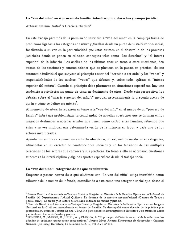 La Voz Del Niño CASTRO NICOLINI | PDF | Trabajo Social | Desigualdad social