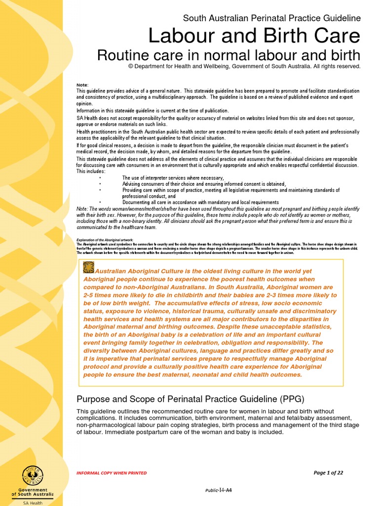 Labour+and+Birth.+Routine+care+in+normal+labour+ Birth PPG V1 1 | PDF ...