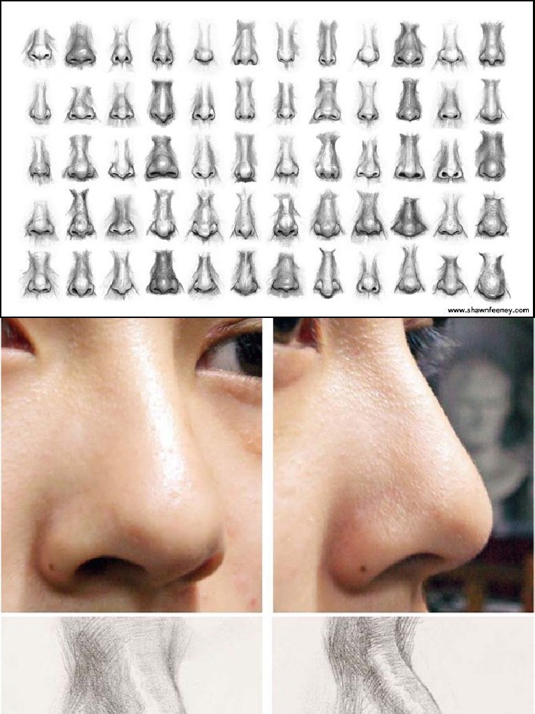 How To Draw Noses - Tutors | PDF