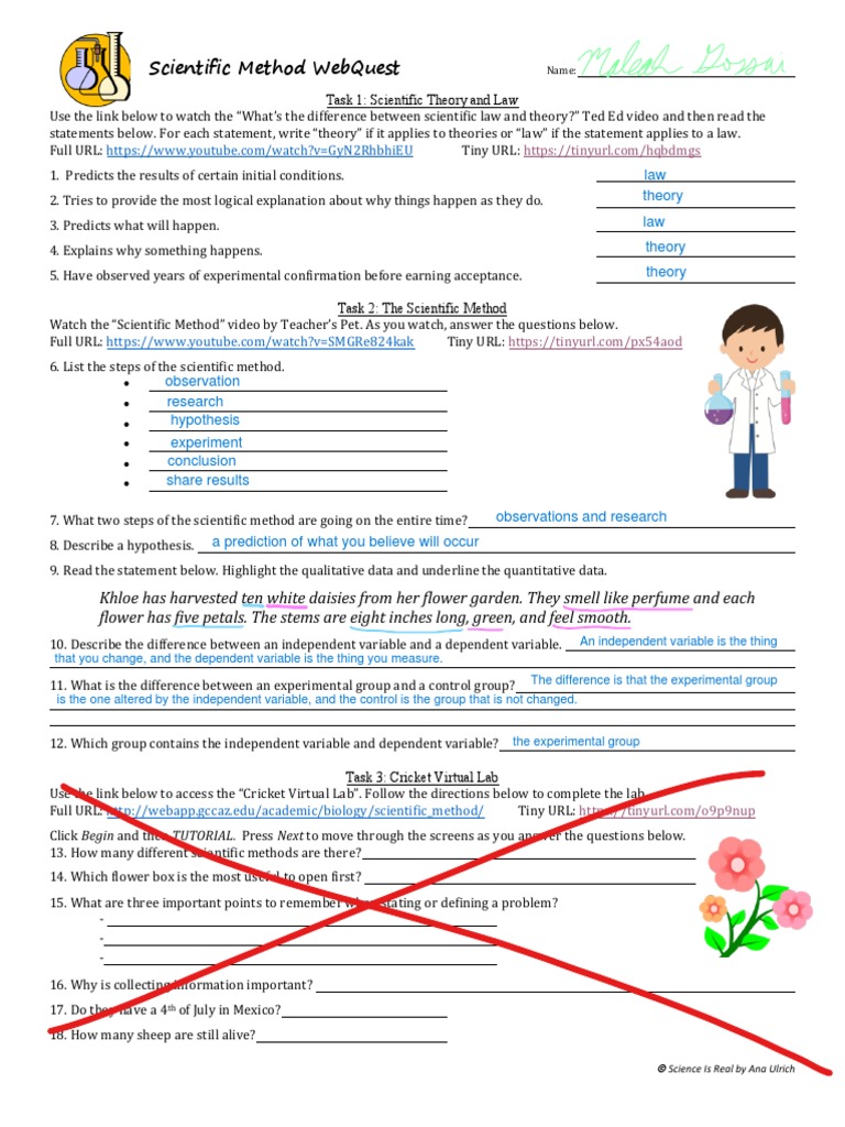 Science Webquest 2 | PDF | Scientific Method | Experiment