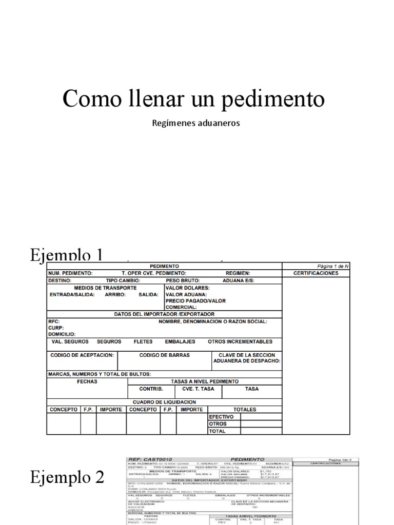 Llenar Pedimento | PDF
