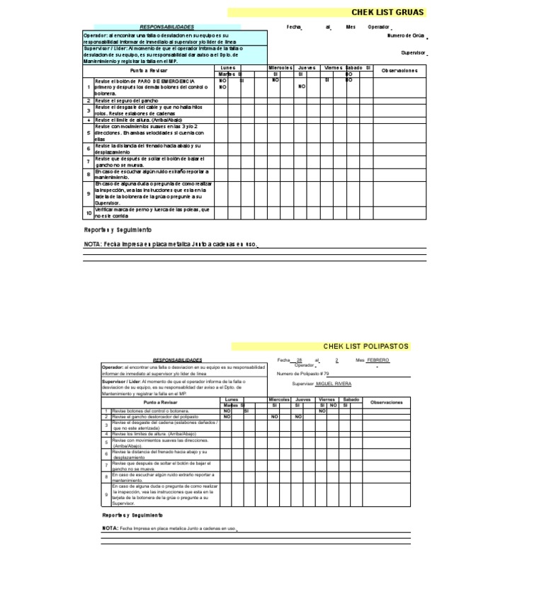 Check List Gruas y Polipastos | PDF Check List Gruas y Polipastos | PDF